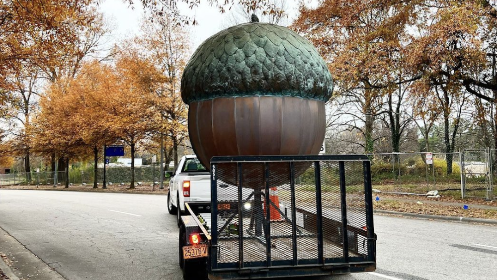 Where is Raleigh's giant acorn going? - RALtoday