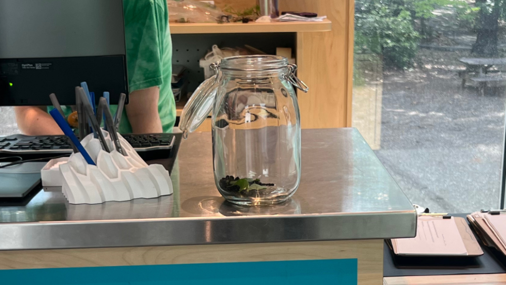 Try This: Roper Mountain's Summer Adventure - GVLtoday